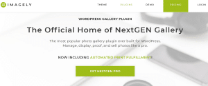 Best gallery plugin for Elementor - BdThemes
