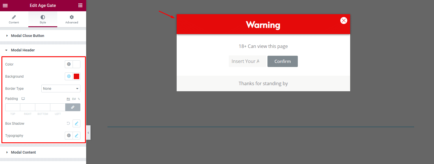 How to use Age Gate widget by Element Pack Pro