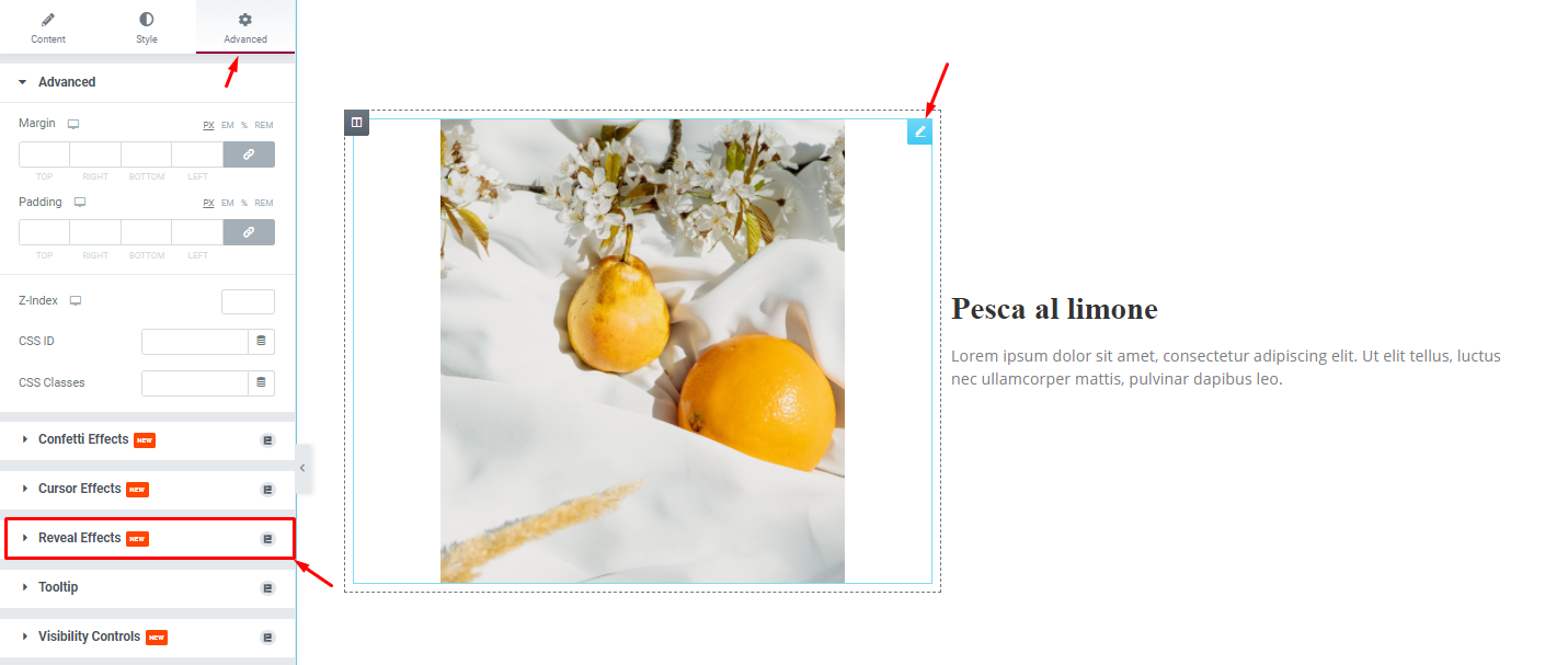 How to use Reveal Effects extension in Elementor Page Builder