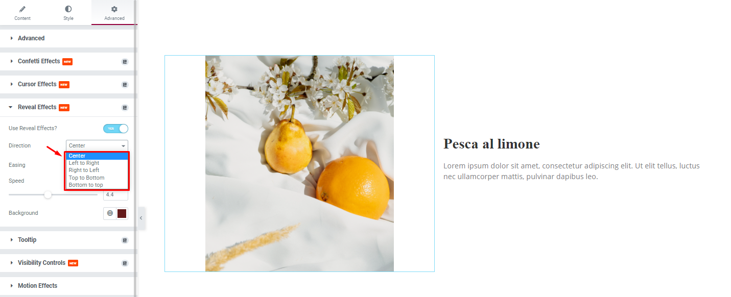 How to use Reveal Effects extension in Elementor Page Builder