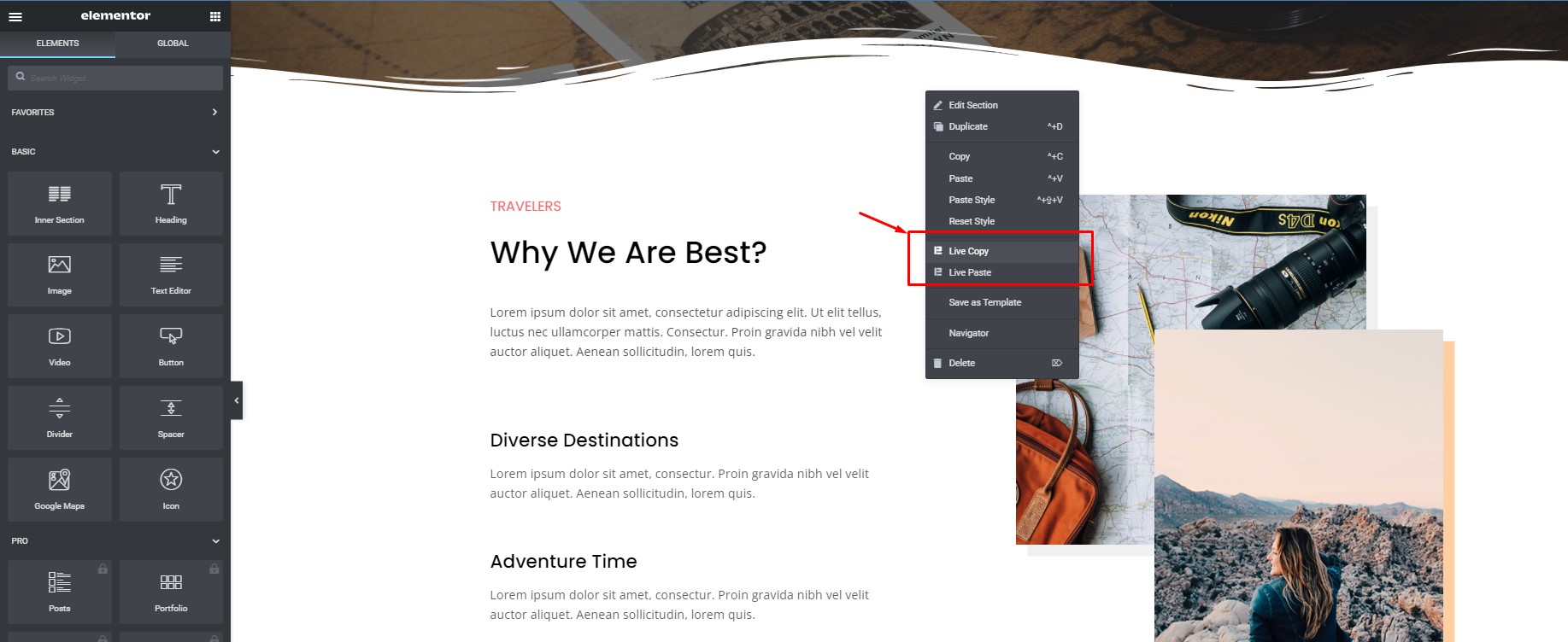 How to copy Elementor page to another website - BdThemes
