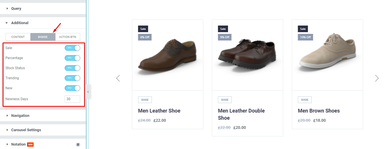 How To Use Shiny Carousel Widget Effectively by Ultimate Store Kit