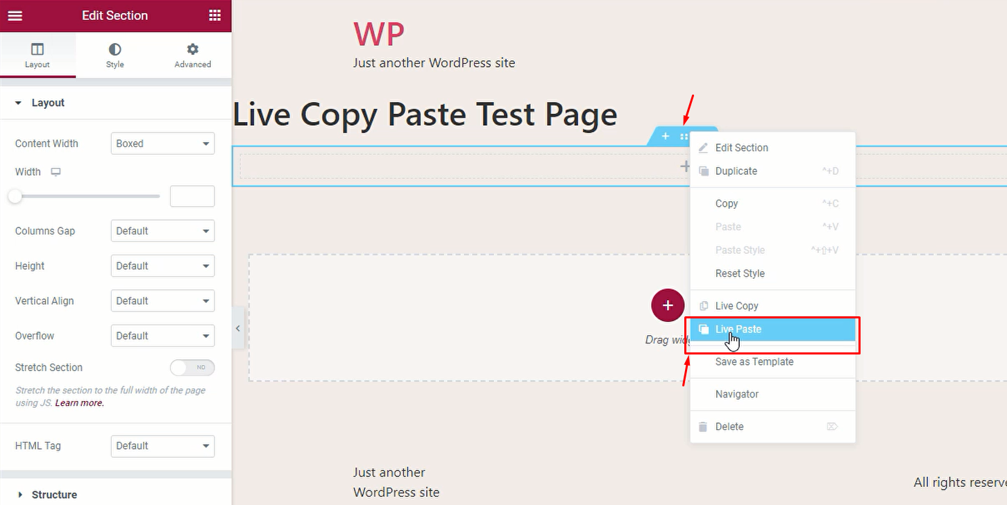 Use Live Copy Paste to make a website in 5 Seconds[Proven]