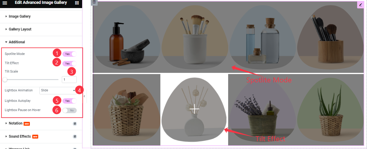 How To Use The Advanced Image Gallery widget