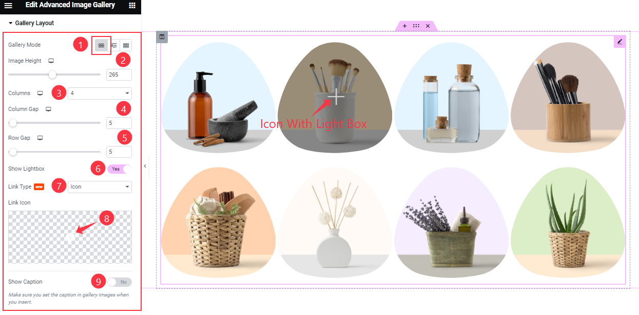 How To Use The Advanced Image Gallery widget