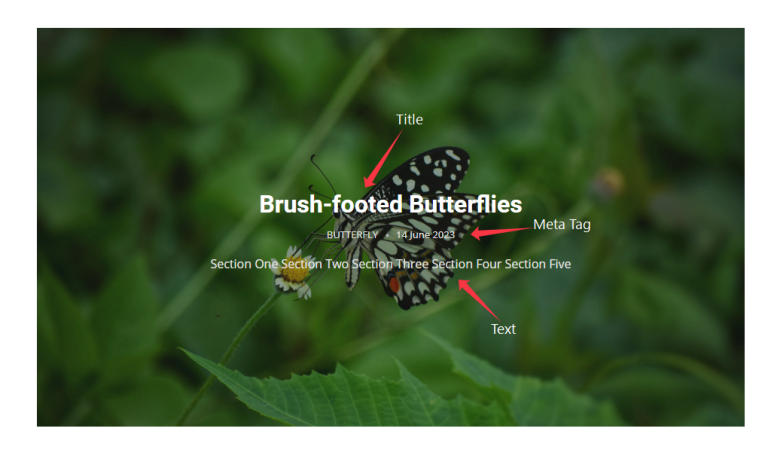 How to use Single Post Widget by Element Pack Pro